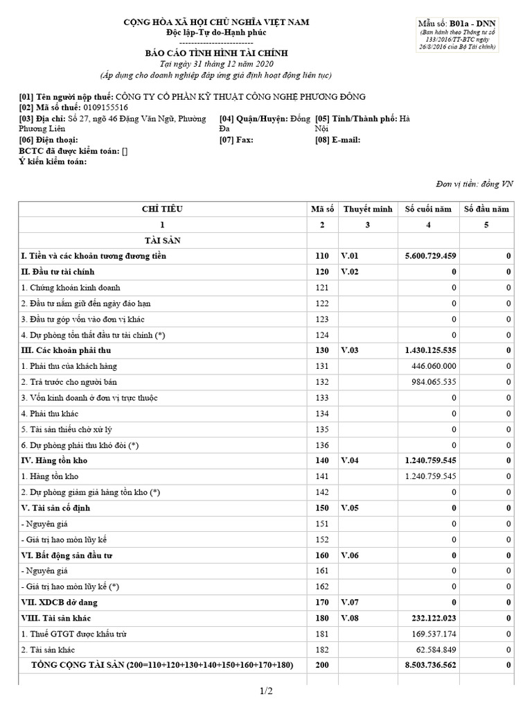 BCTC 2020 - PHƯƠNG ĐÔNG | PDF