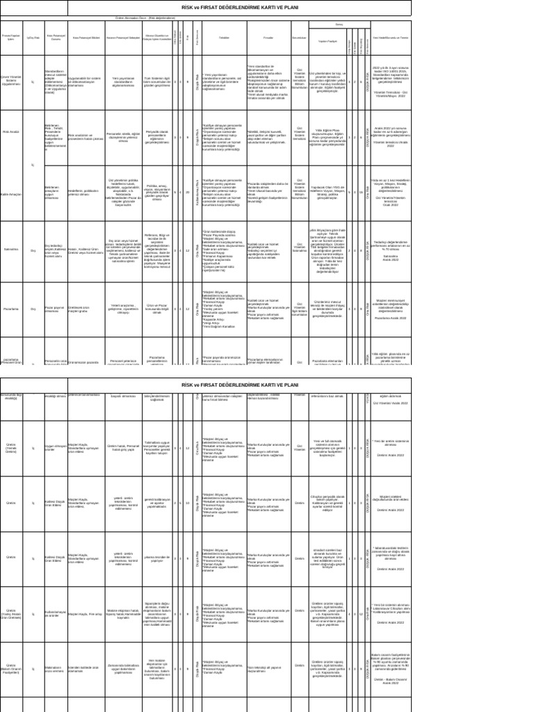PL.02 RİSK Ve FIRSAT DEĞERLENDİRME KARTI VE PLANI | PDF