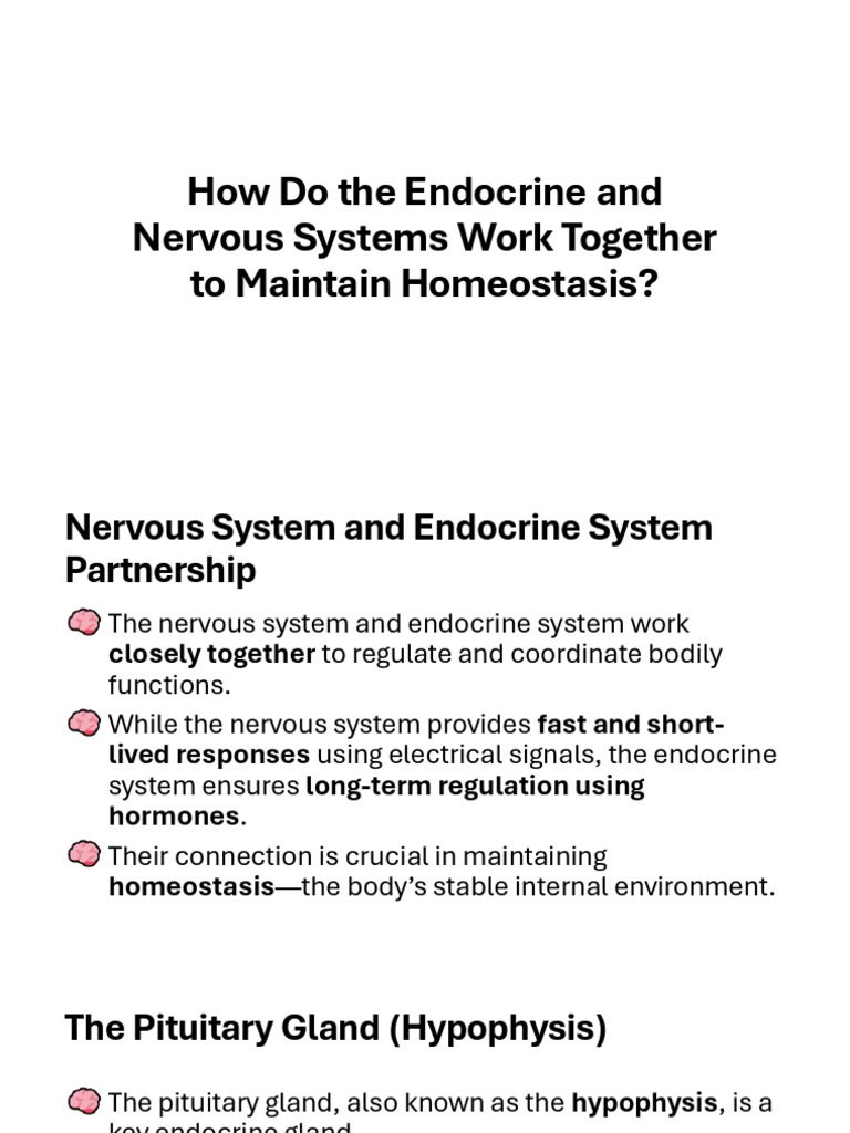 Endocrine and Nervous System | PDF | Endocrine System | Hypothalamus