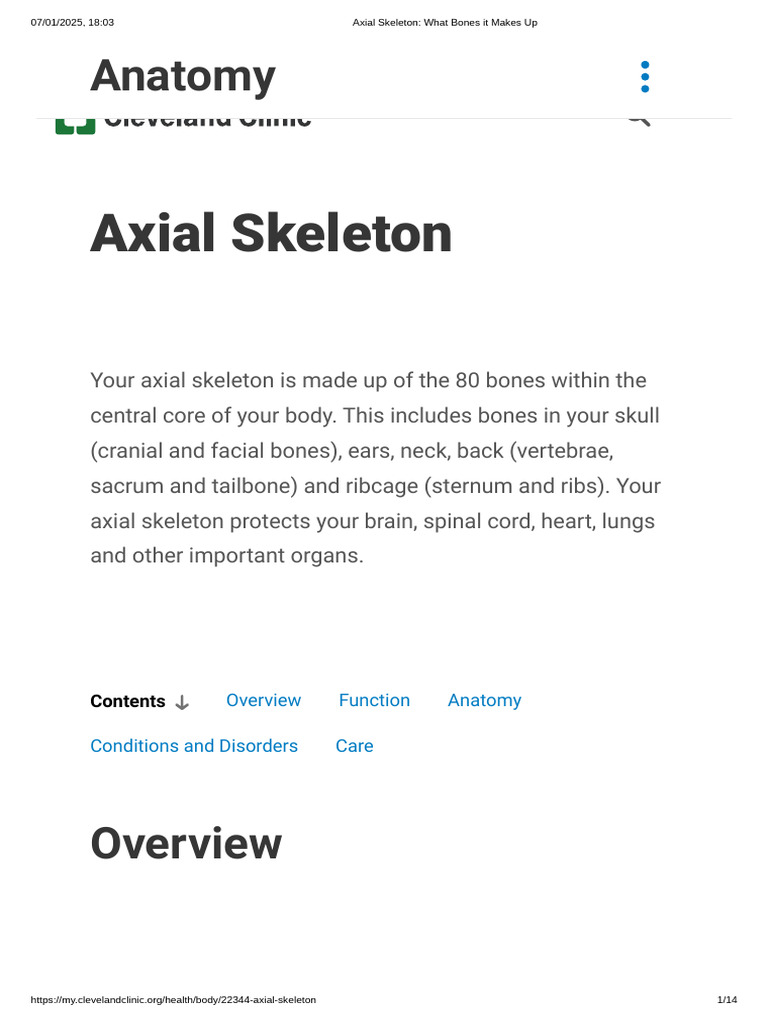 Axial Skeleton_ What Bones it Makes Up | PDF | Vertebral Column | Skull