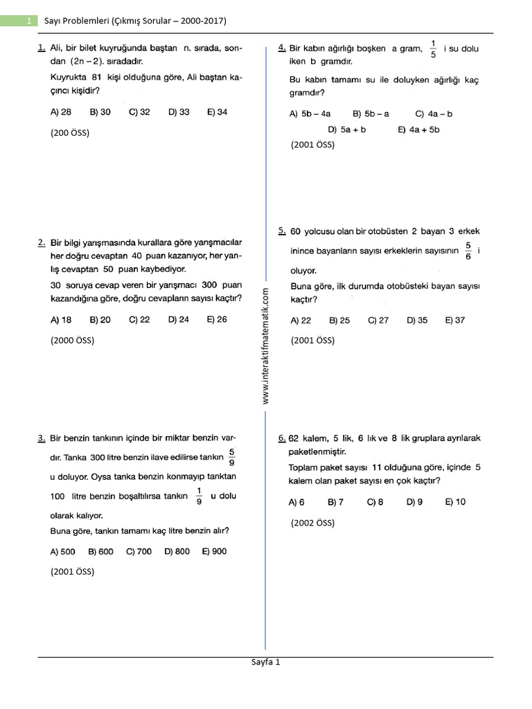 Sayi Problemleri | PDF