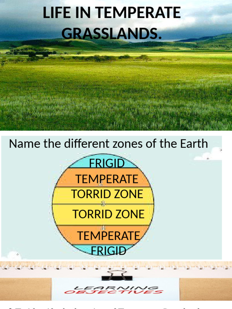 Chp 11. Life in Temperate Grasslands. | PDF | Temperate Climate | Canadian Prairies