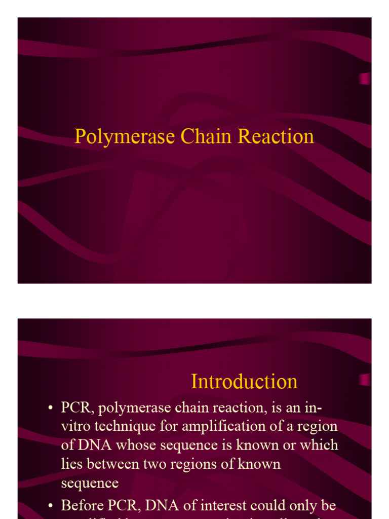 Understanding Polymerase Chain Reaction | PDF | Polymerase Chain ...
