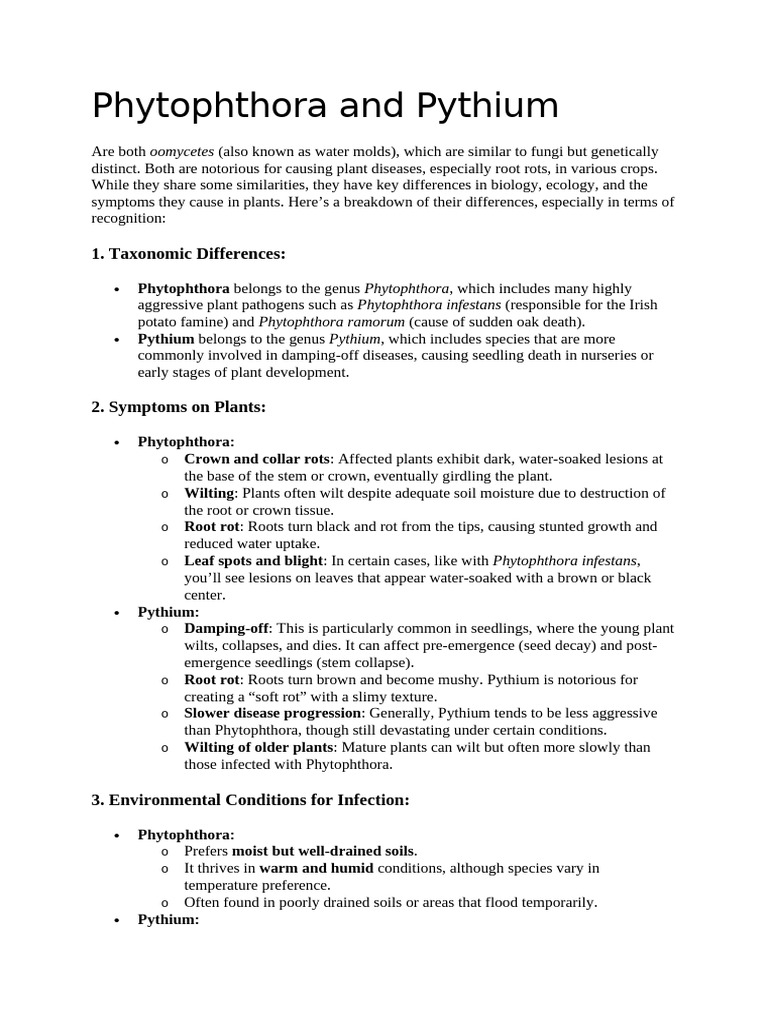Differences Between Phytophtora and Pythium | PDF | Plants | Botany