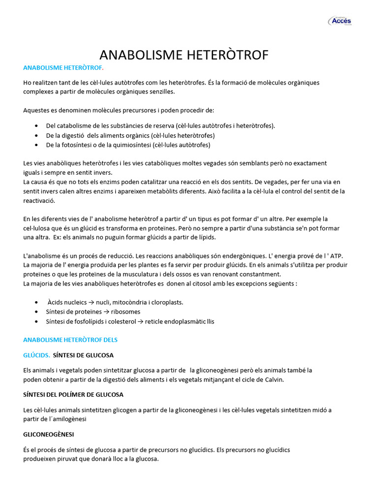 Resum Anabolisme HeterÃ Trof | PDF
