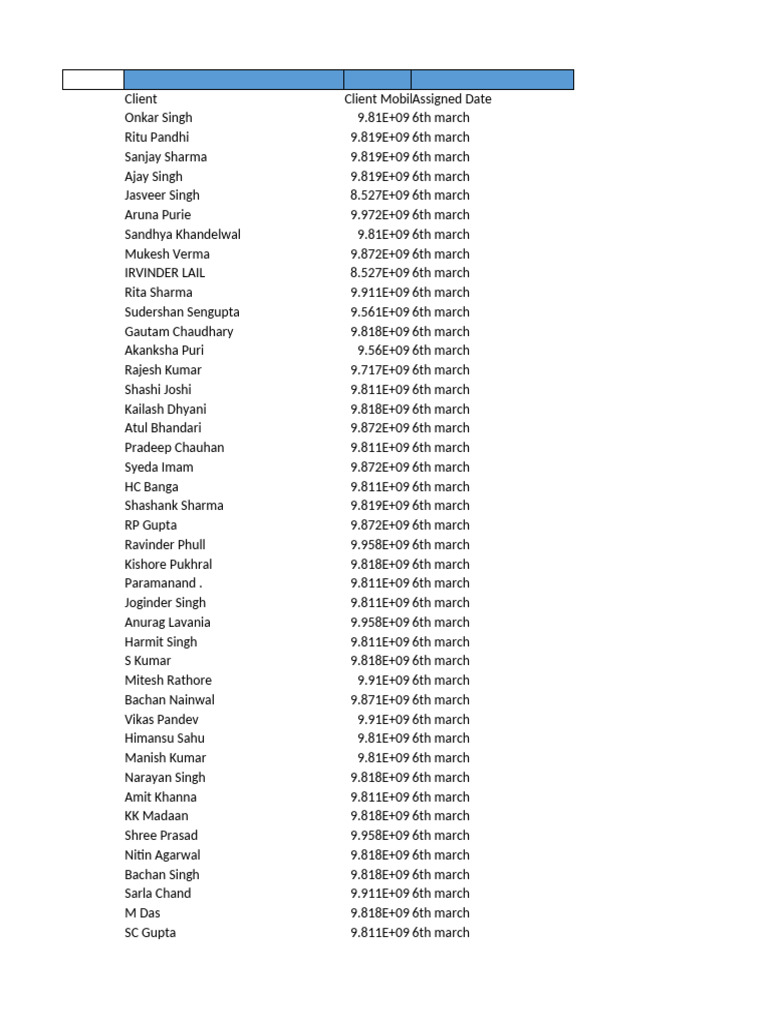 DSR Format Rajeev Bansal Team | PDF