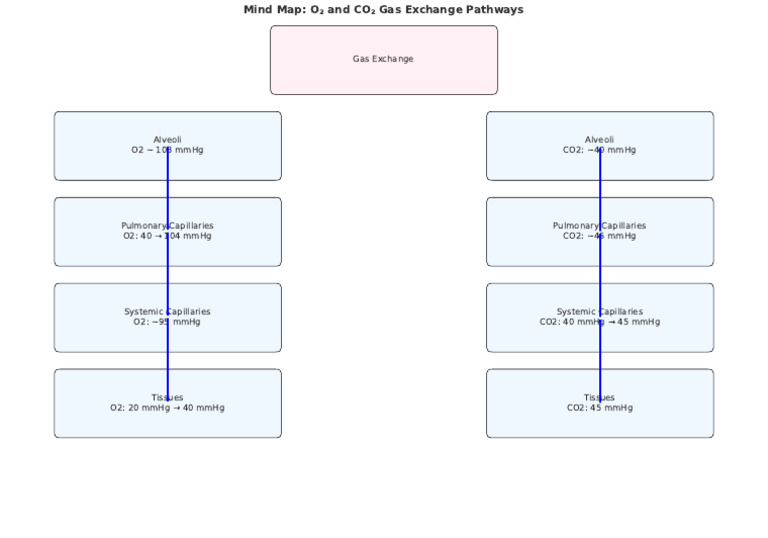 Gas Exchange Mind Map High Quality | PDF