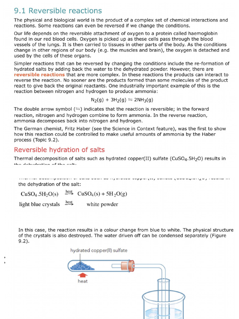 Reversible Reactions and Equilibrium | PDF