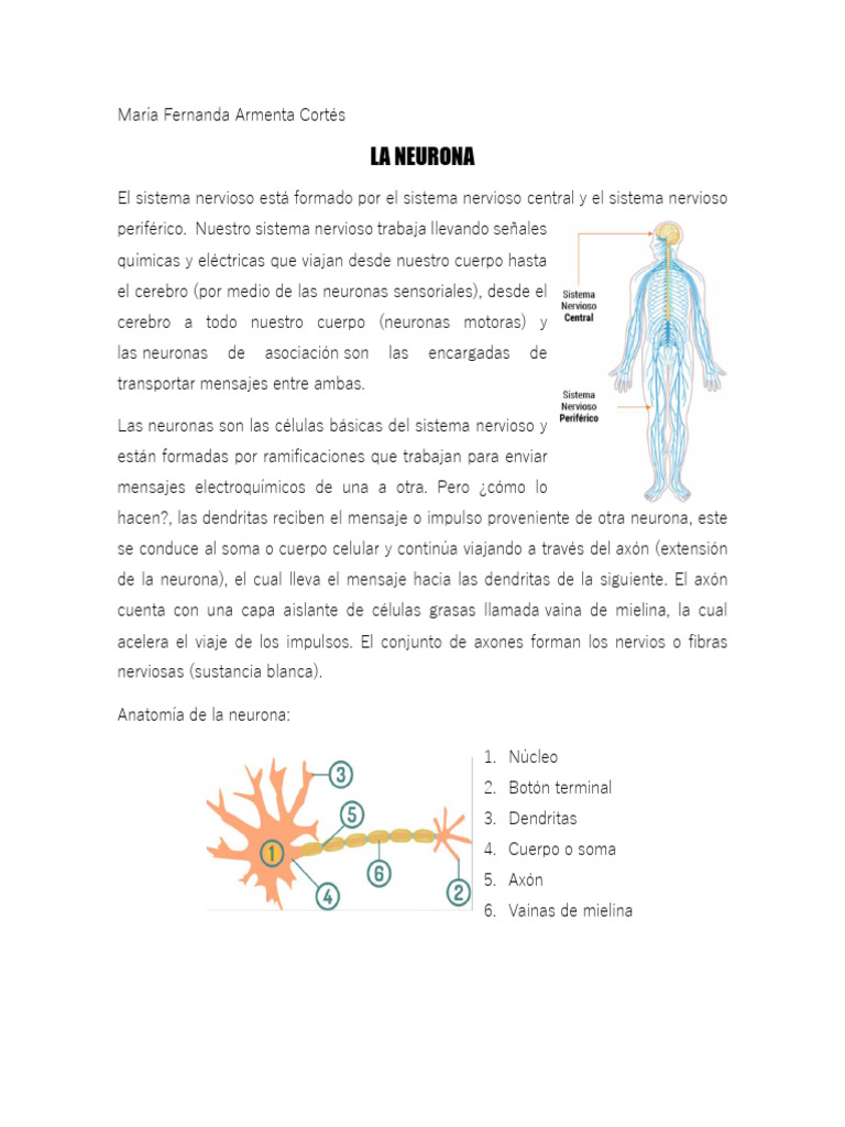 1 La Neurona MFAC | PDF