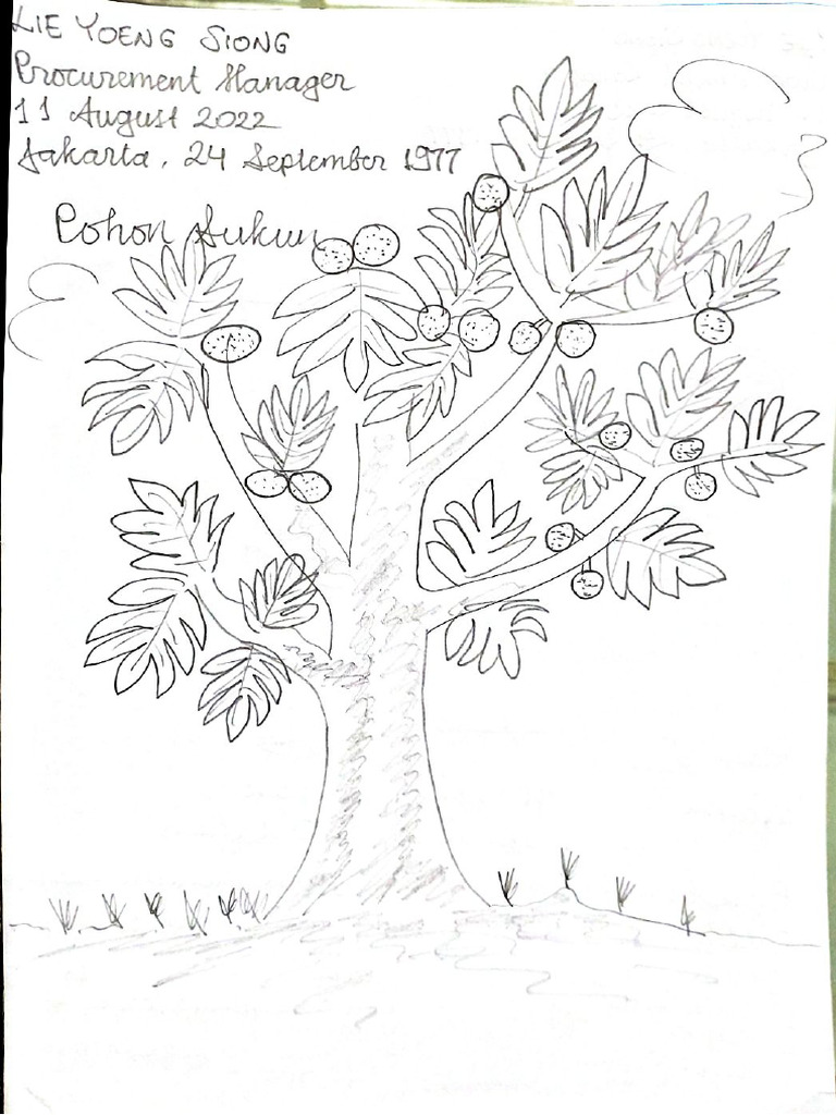 Pohon | PDF