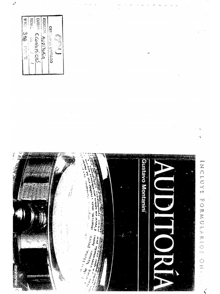 Libro Auditoria Montanini | PDF | Auditoría | Contabilidad