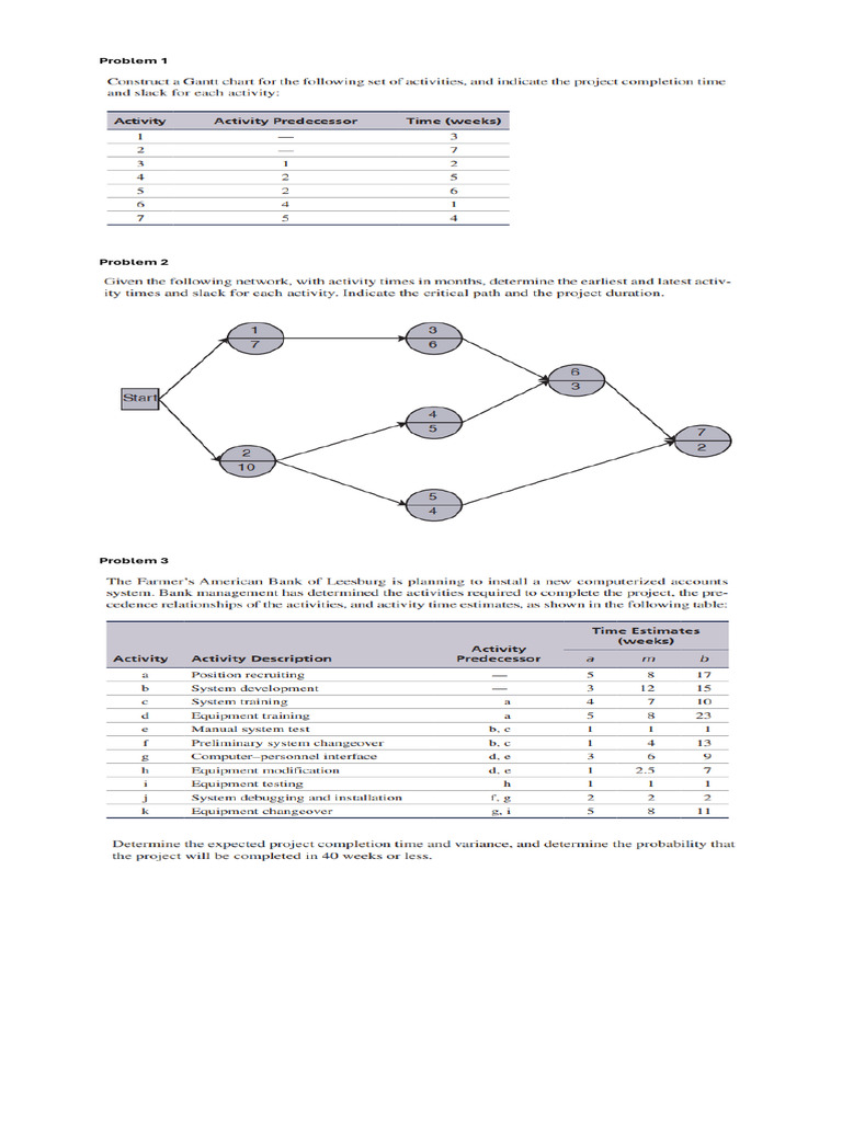 Project Management Assignment | PDF