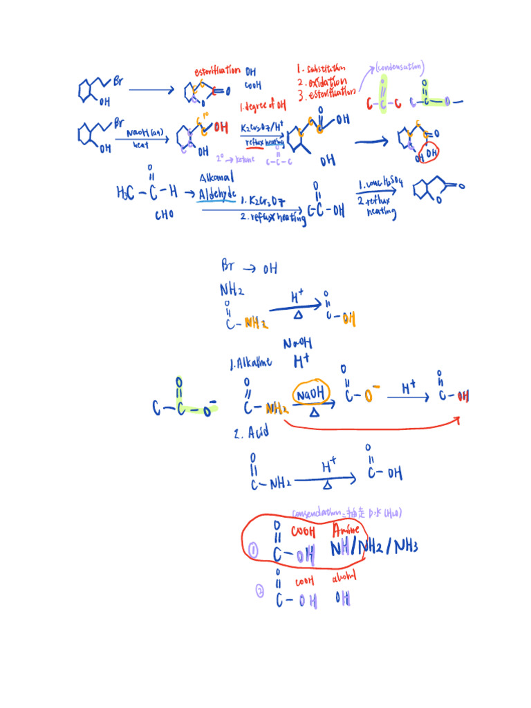 Chem 20231202 Org Chem | PDF