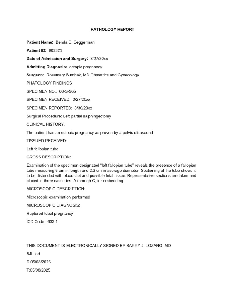 Practice Exercise 2 | PDF