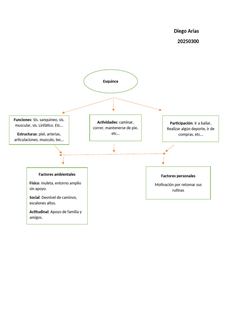 Componentes de La Cif | PDF