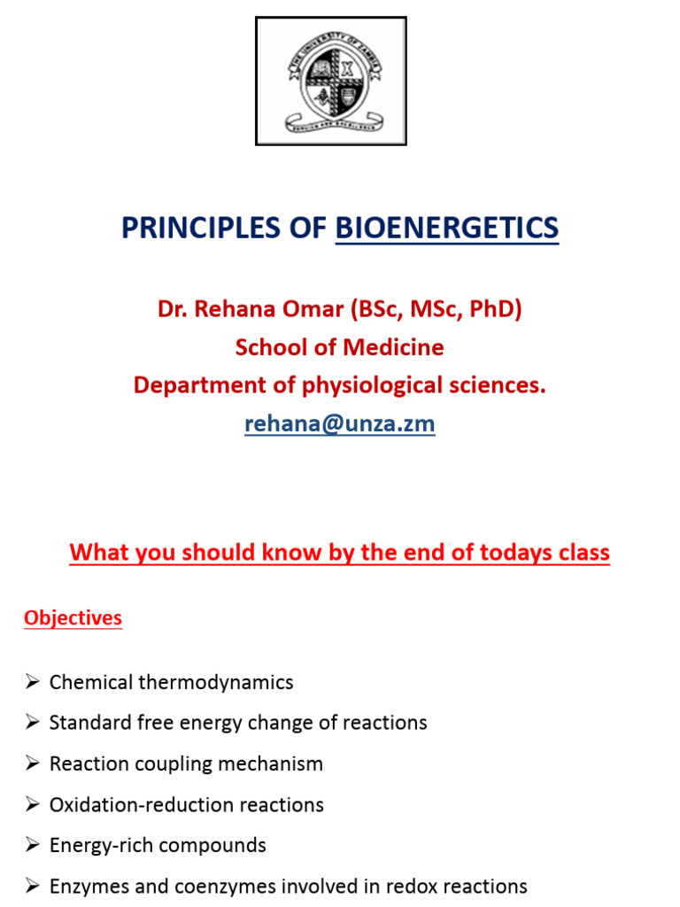 Principles of Bioenergetics Overview | PDF | Chemical Reactions | Redox