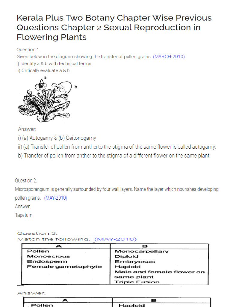 Chapter 2 PREVIOUS Questions and Answers | PDF