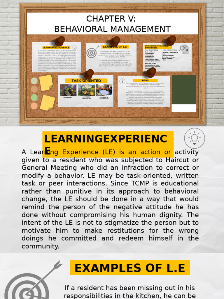 Report TCMP (Estrobo) | PDF | Cognition | Social Psychology