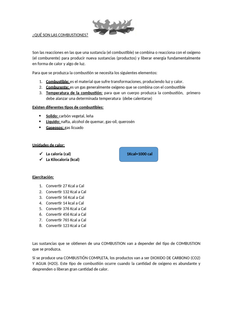 Definición y Tipos de Combustión | PDF | Combustión | Redox