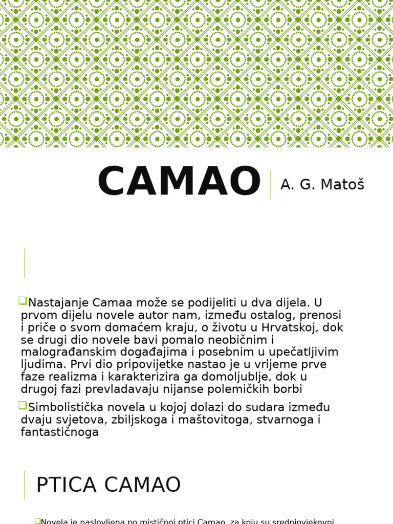 Camao | PDF