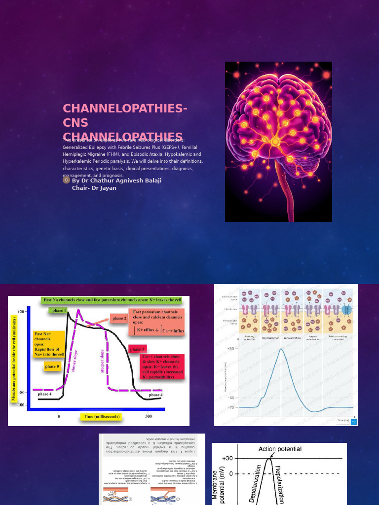 Channelopathies - Reedited | PDF | Epilepsy | Diseases And Disorders