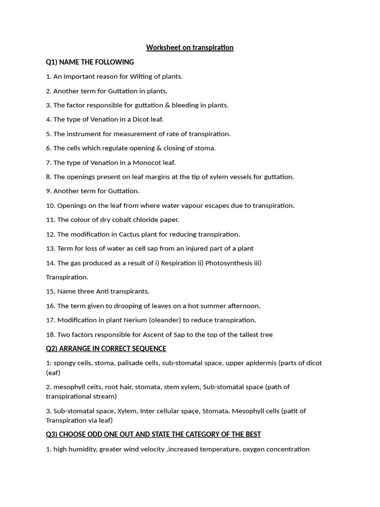 Worksheet On Transpiration | PDF | Stoma | Leaf