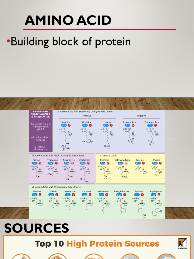 Biomolecules Grade 10 | PDF