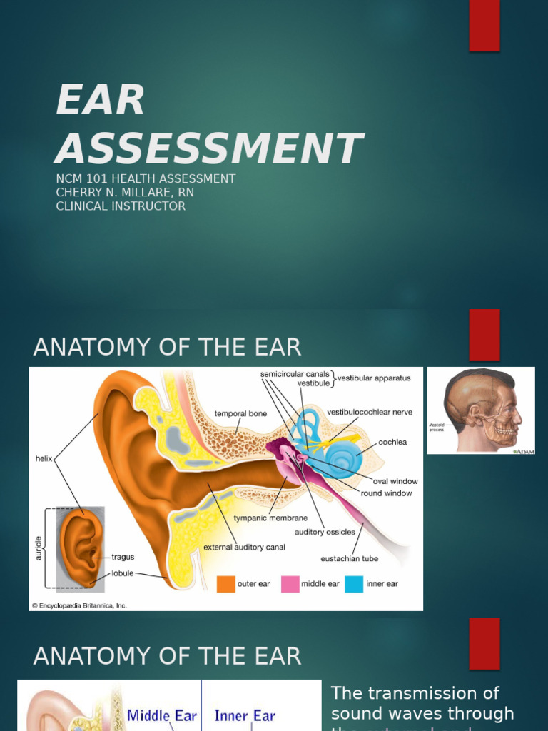 BSN 1 Ear Assessment | PDF | Ear | Hearing