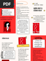 Clave Roja Obstétrica | PDF | Especialidades Medicas | Salud maternal