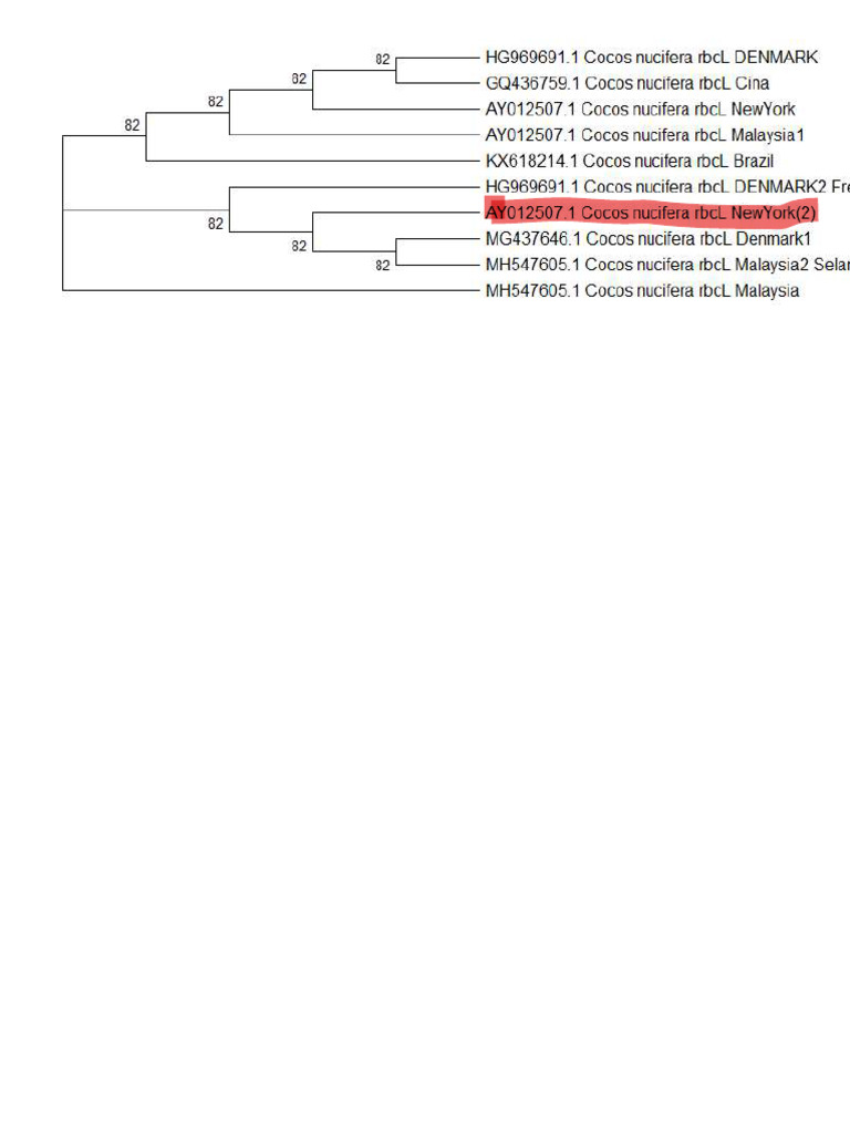 boostrap filogenik | PDF