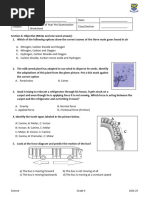 Rock Cycle Test Questions | PDF | Rock (Geology) | Sedimentary Rock