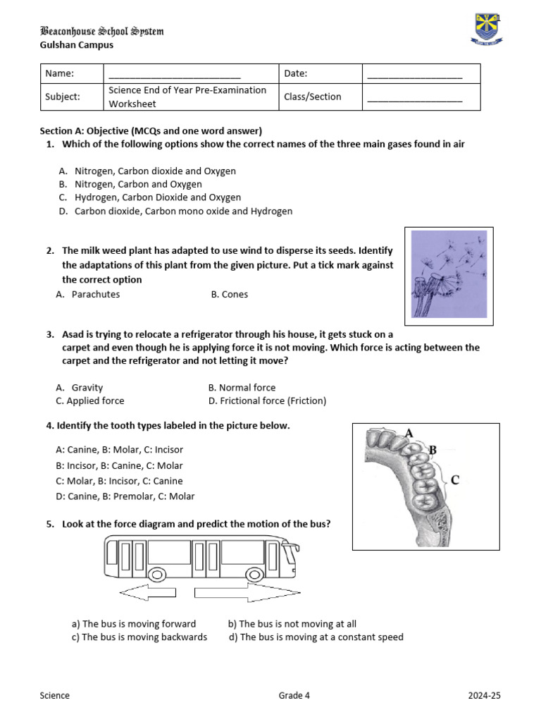 Science EOY Grand Reinforcement Worksheet-Grade 4 | PDF | Force | Oxide