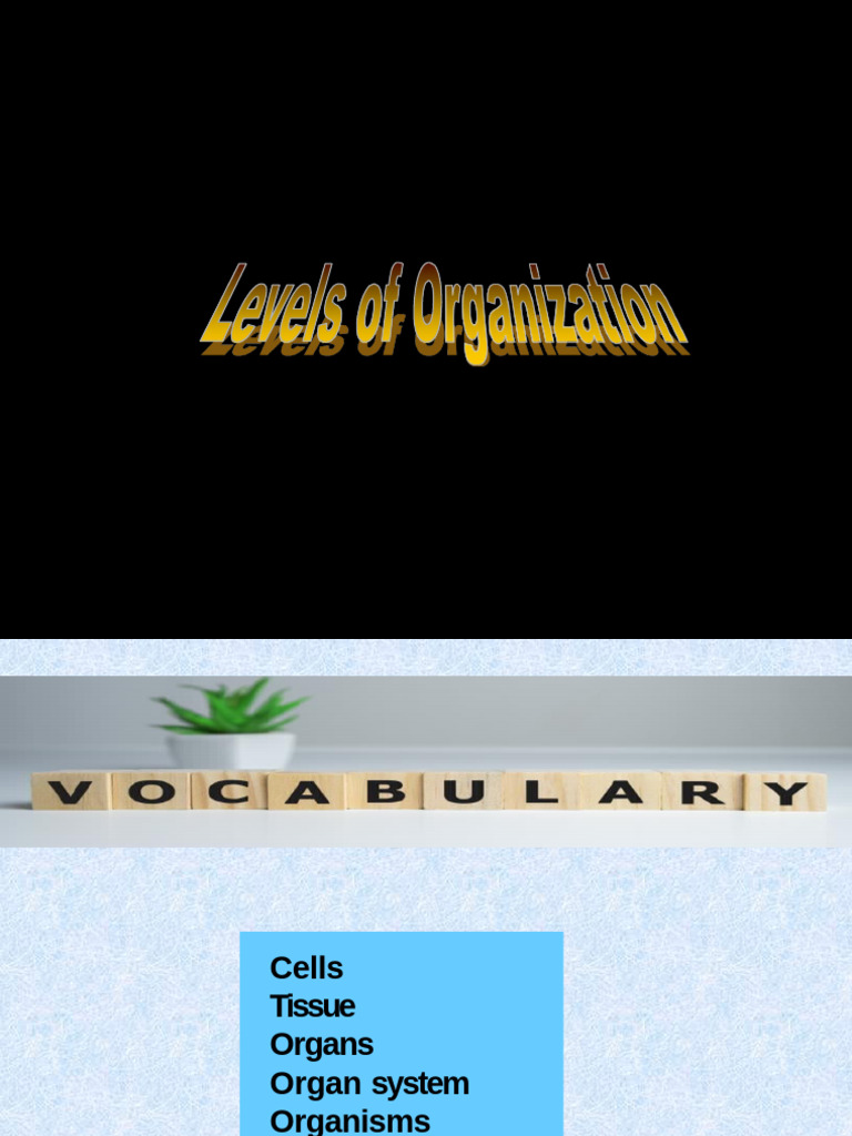 Levels of Biological Organization | PDF