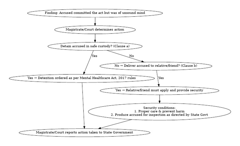 Detention Safe Custody Flowchart | PDF