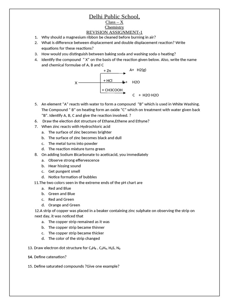 DPS Assignment 2024 Class 10 | PDF