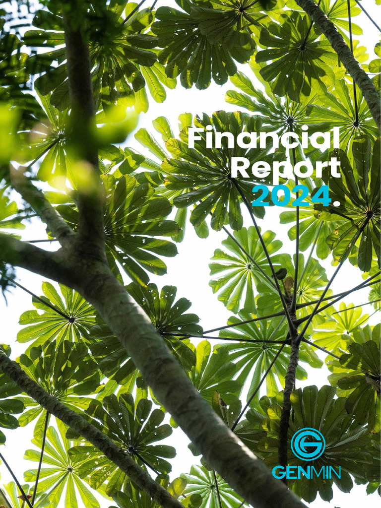 Genmin - Rapport financier 2024 - 31 mars 2025 | PDF | Indemnity | Option (Finance)