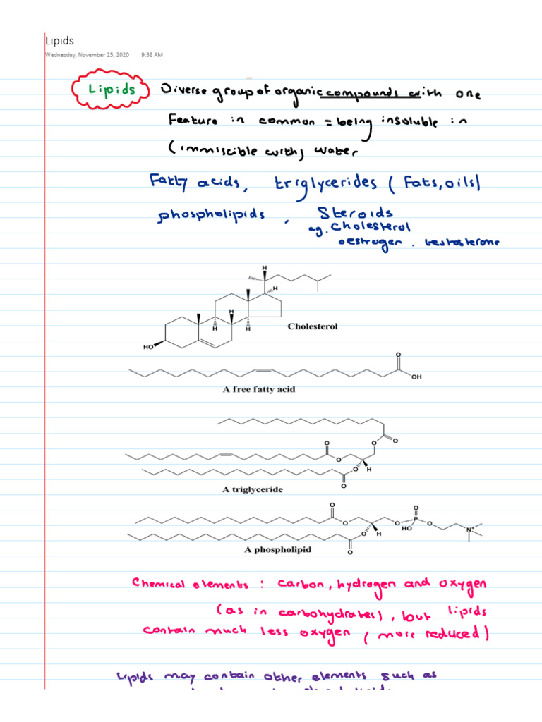 Lipids | PDF