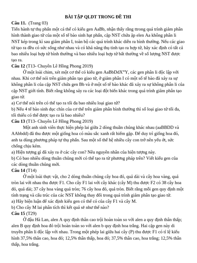 Bài Tập Qldt Trong Đề Thi | PDF