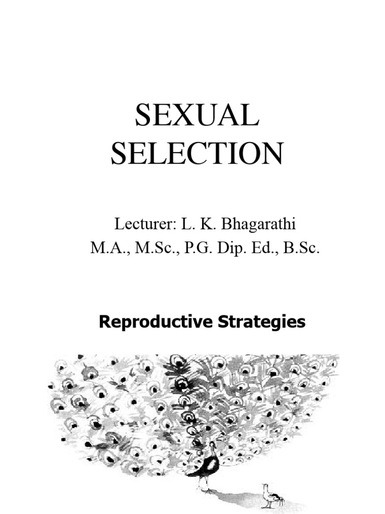 Lecture 7-Sexual Selection (L.K.B) | PDF | Sexual Selection | Male