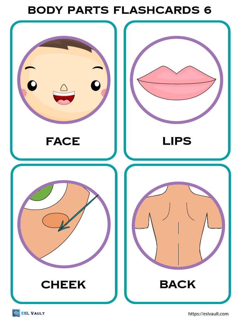 body-parts-flashcards-free-printable-6 | PDF