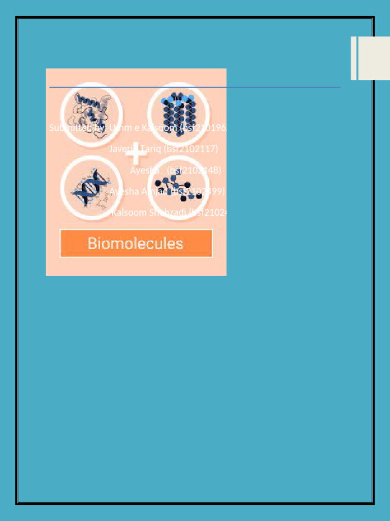 Biomolecules Assignment | PDF | Carbohydrates | Polysaccharide