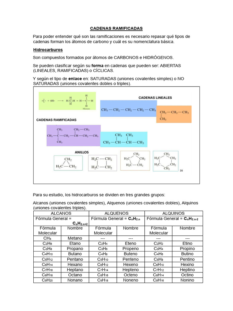 Cadenas Ramificadas en Hidrocarburos | PDF | Hidrocarburos | Alcano