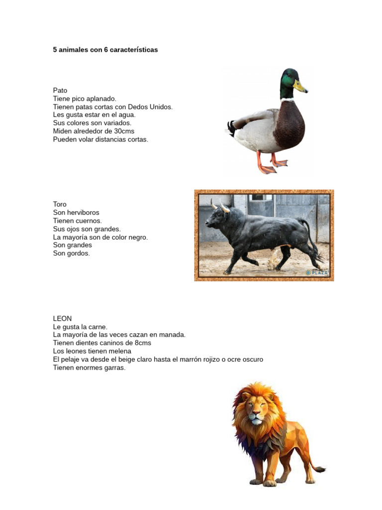 5 Animales Con 6 Características | PDF