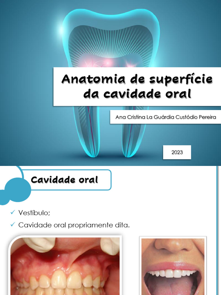 Anatomia do Sulco Labiomarginal | PDF | Boca | Epitélio