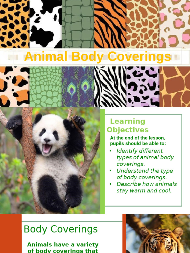 Animal Body Coverings-WPS Office | PDF