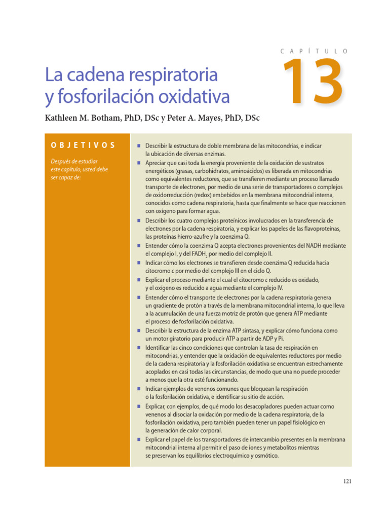 Harper Bioquimica Ilustrada 29c2aa Ed Booksmedicos-Org-136-146 | PDF | Cadena de transporte de ...
