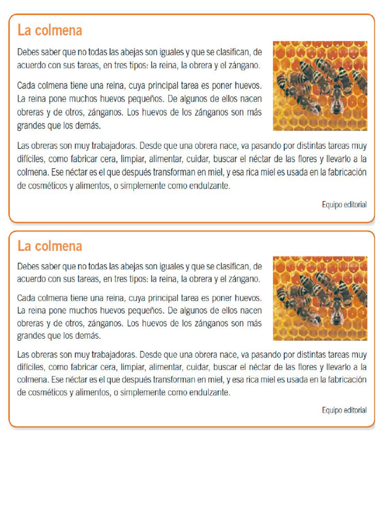 Cuento La Colmena | PDF