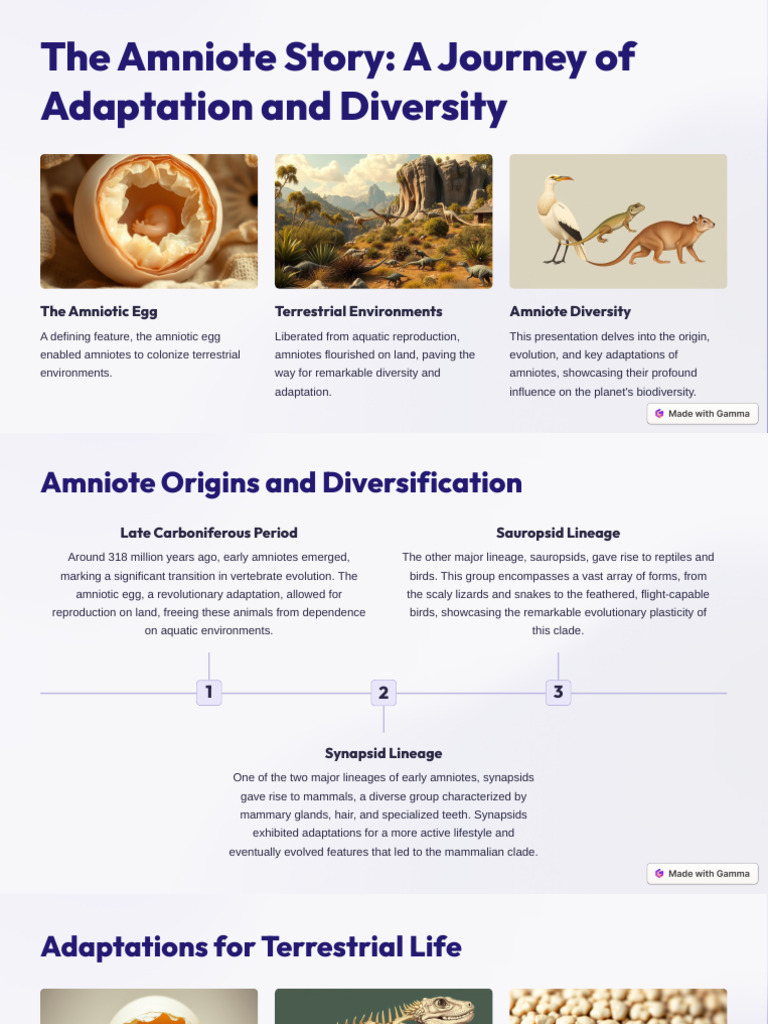 Evolution of the Amniotic Egg | PDF | Reptile | Turtle