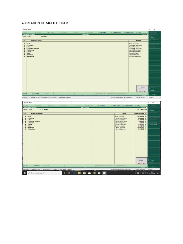 CREATION OF MULTI LEDGER | PDF