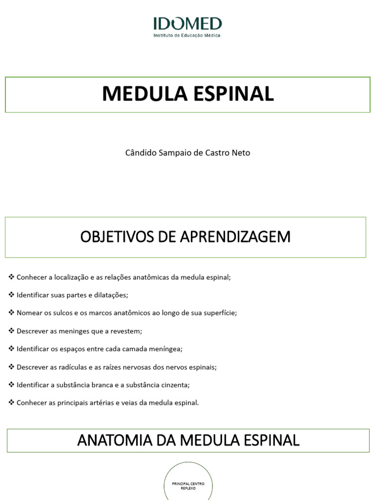 Aula 3 MEDULA ESPINAL | PDF | Medula espinhal | Nervo